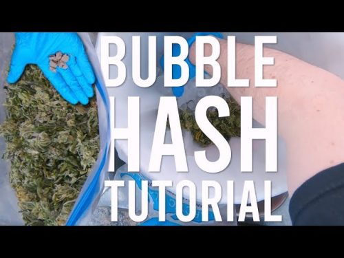 Celebrities And Weed Its A Wonderful Life Mirror Marijuana Grow Tube
